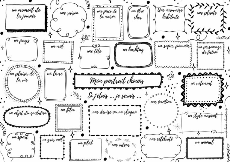 Mon portrait chinois - La Bande à Baudelaire