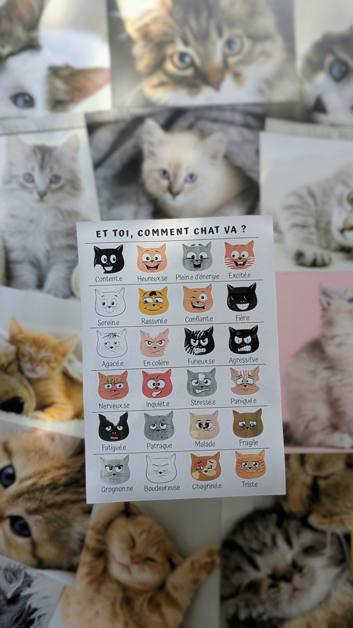 Comment chat va ? - La Bande à Baudelaire