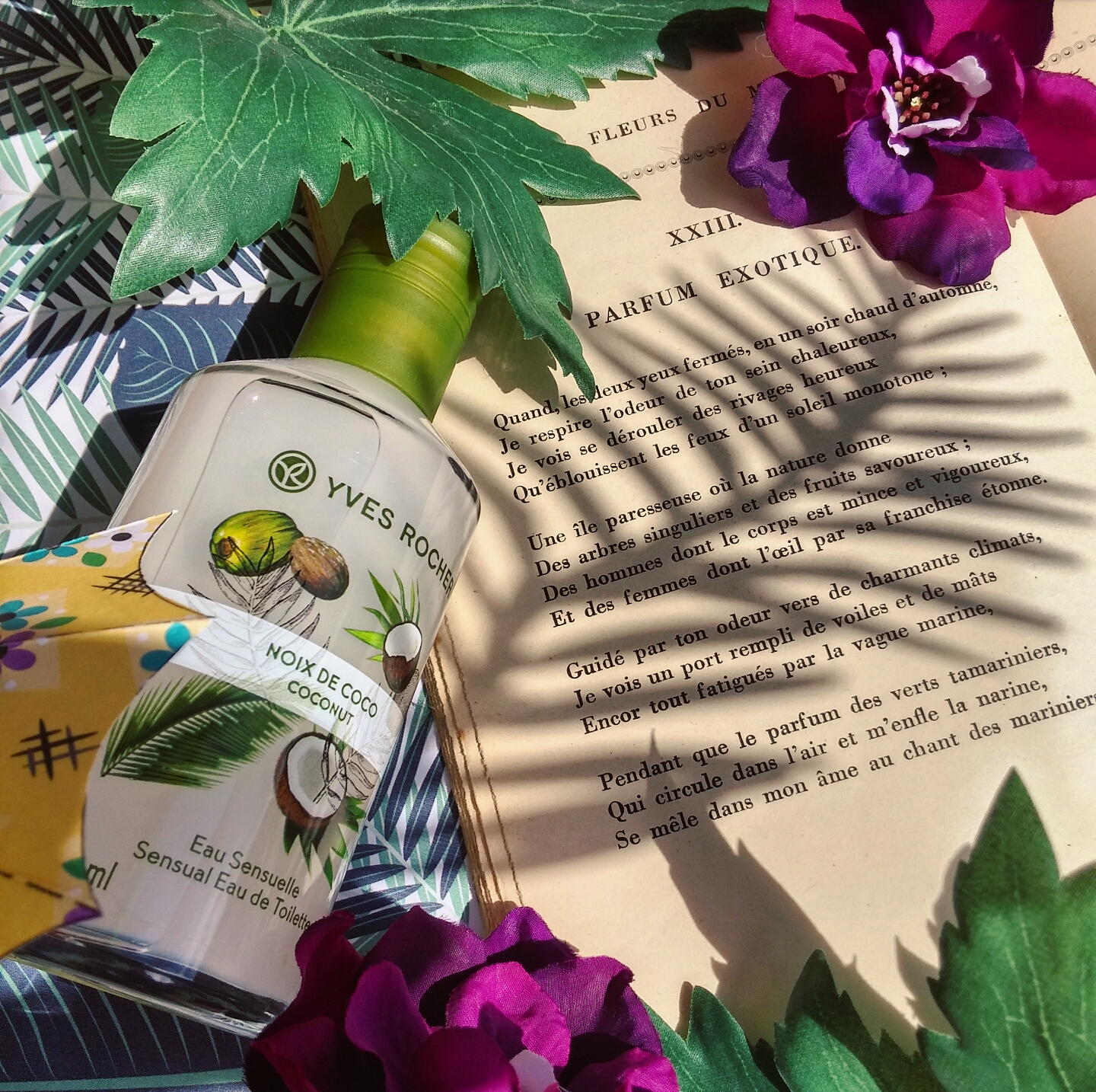 Parfum exotique travail d'écriture - La Bande à Baudelaire