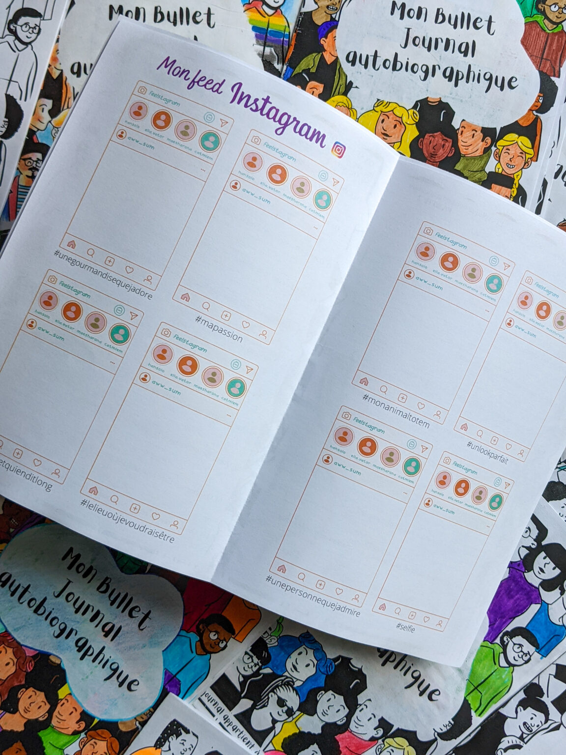 Le Bullet Journal Autobiographique - La Bande à Baudelaire