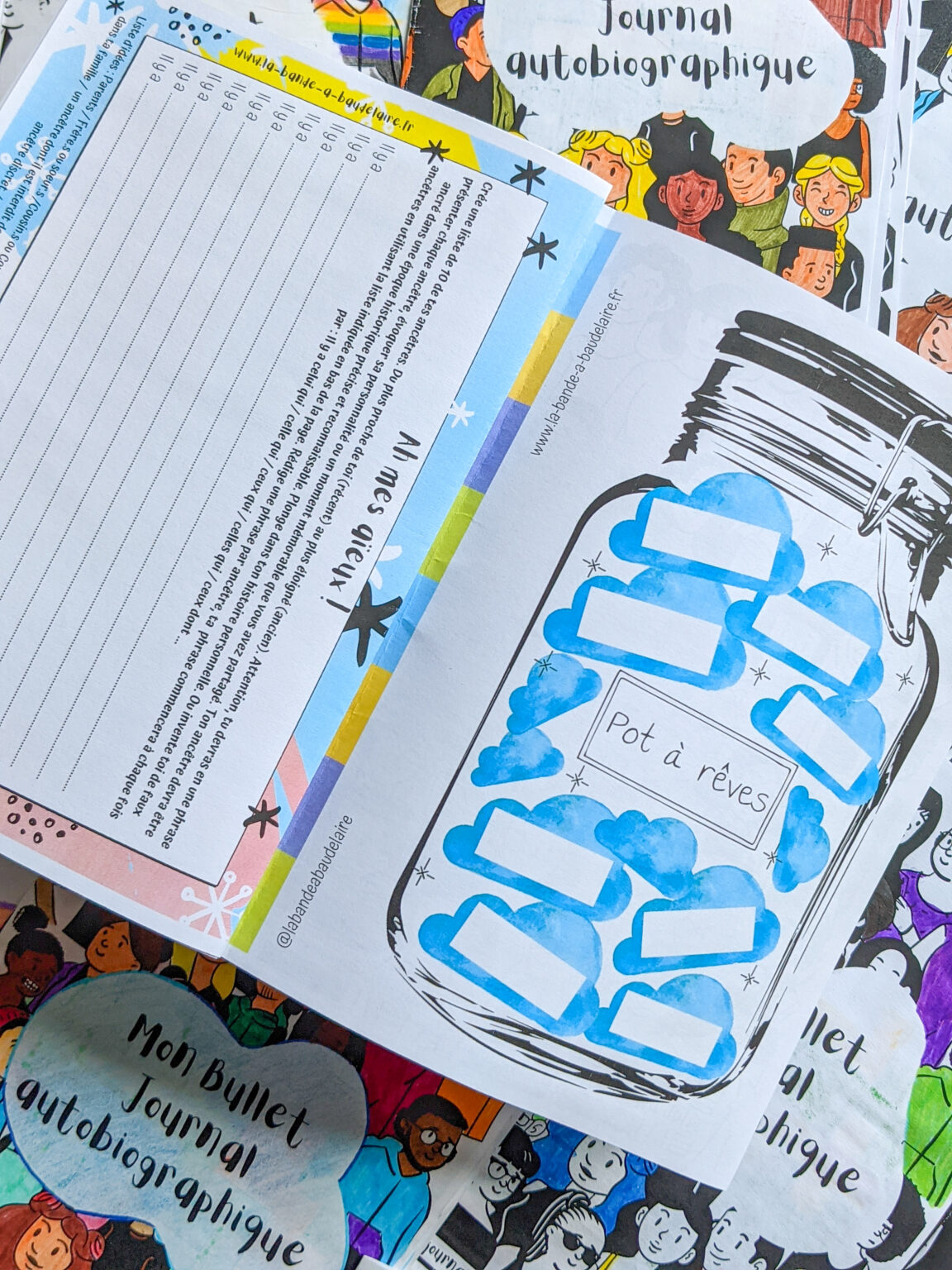 Le Bullet Journal Autobiographique - La Bande à Baudelaire