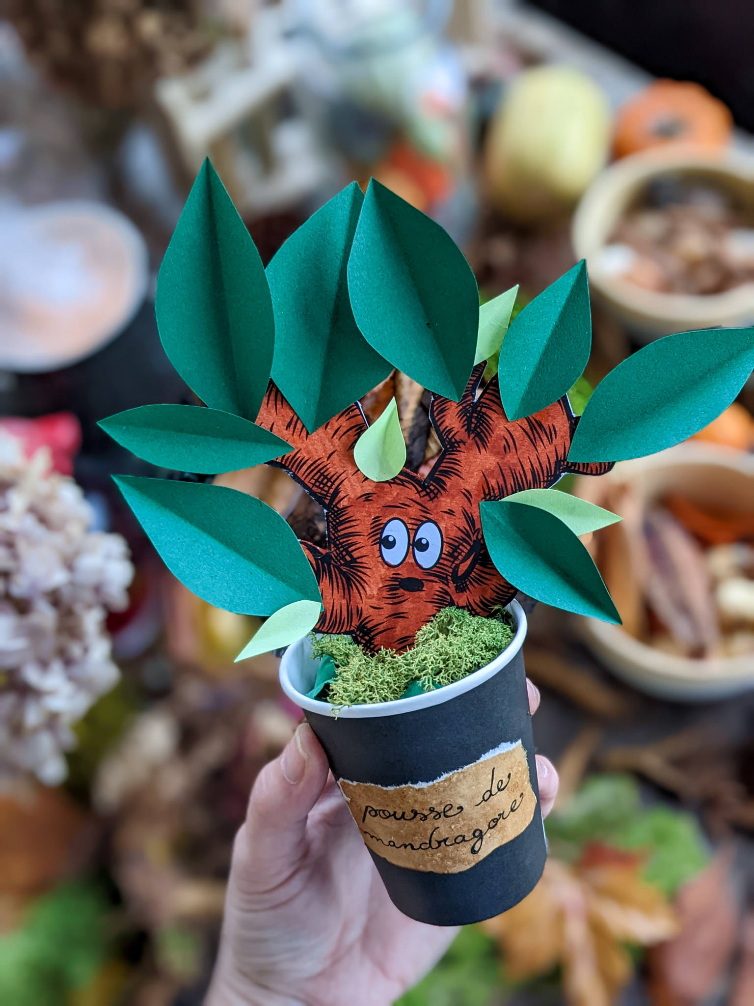 Mandragore à imprimer - La Bande à Baudelaire