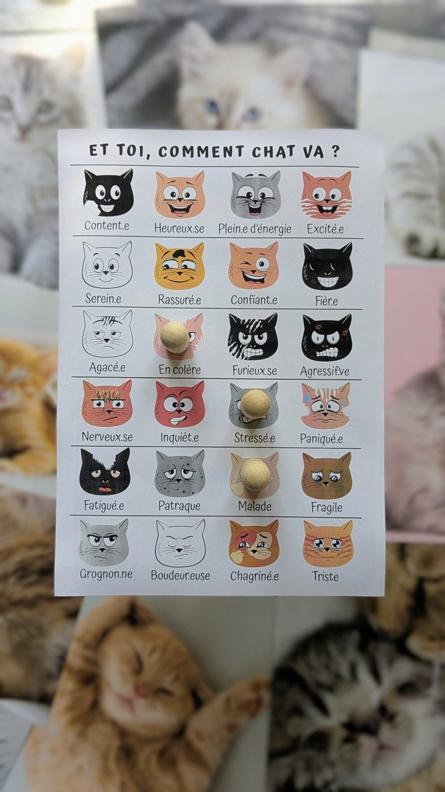 CPS fiche à télécharger - La Bande à Baudelaire